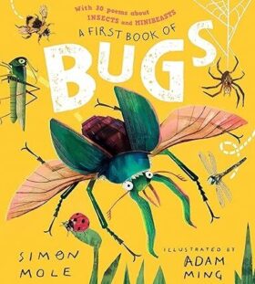 A First Book of Bugs | BookTrust