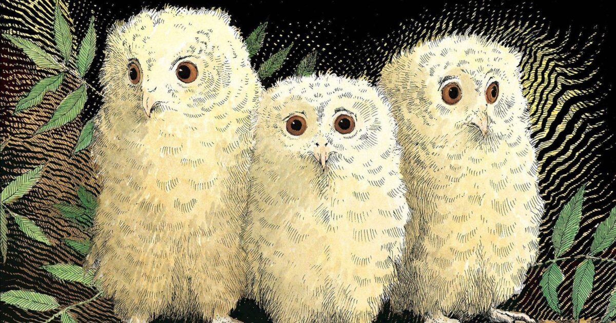 Early years - habitats | BookTrust