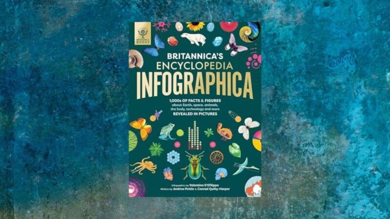 Sparking children's curiosity with infographic books | BookTrust