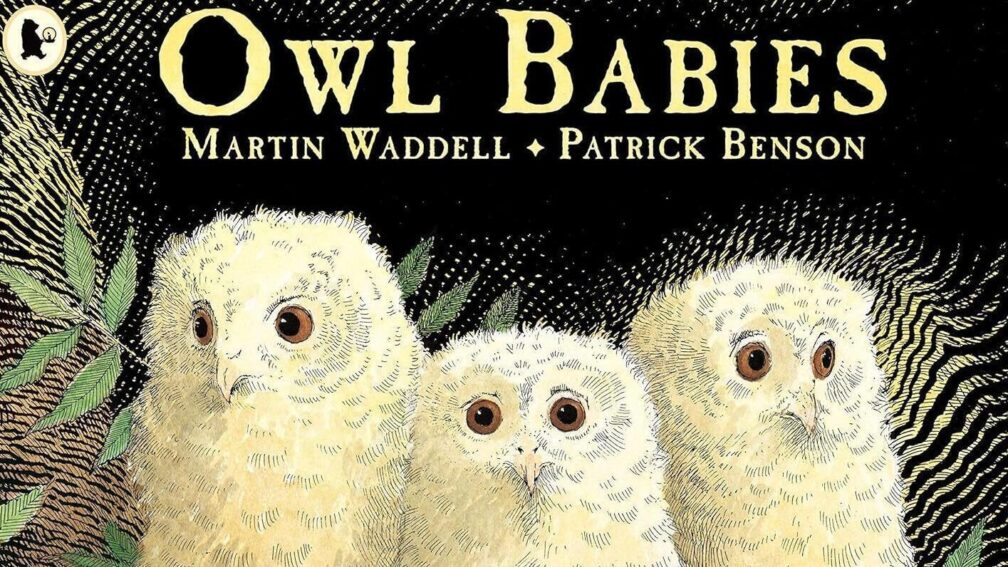 Owl Babies: what to read next | BookTrust