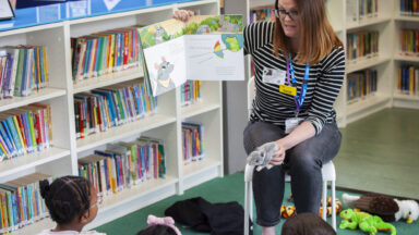 Development toolkit for primary teaching assistants for… | BookTrust